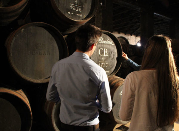 Inicio - Bodegas Alvear