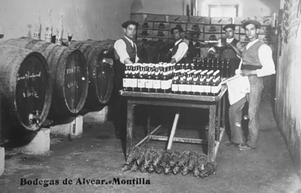 Bodegas Alvear - History