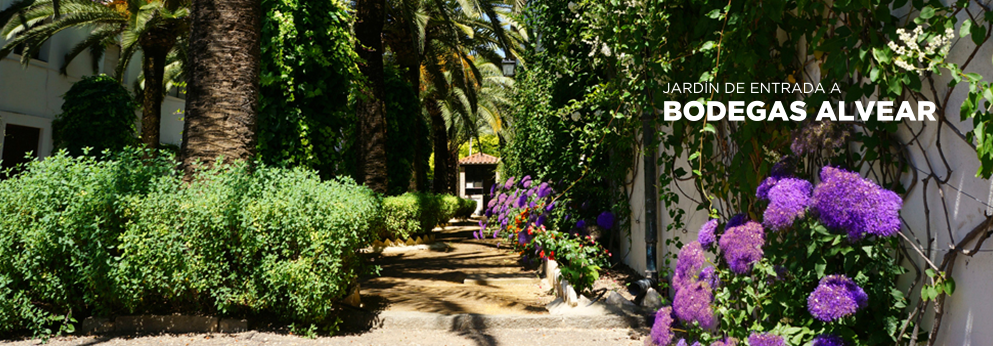 Inicio - Bodegas Alvear