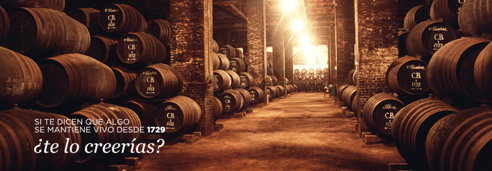 Inicio - Bodegas Alvear